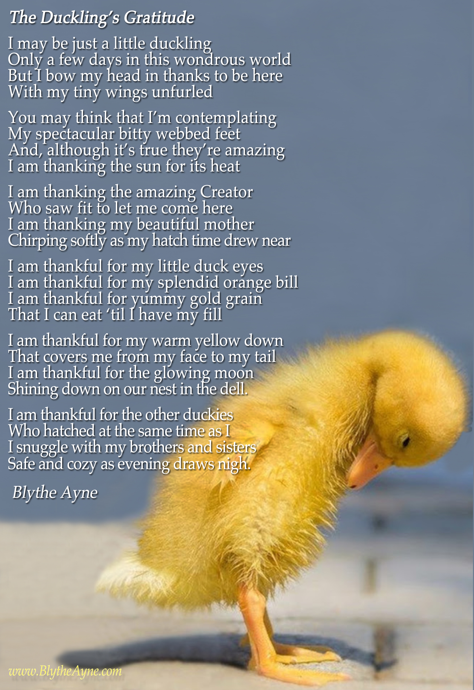 The Duckling’s Gratitude - Blythe Ayne