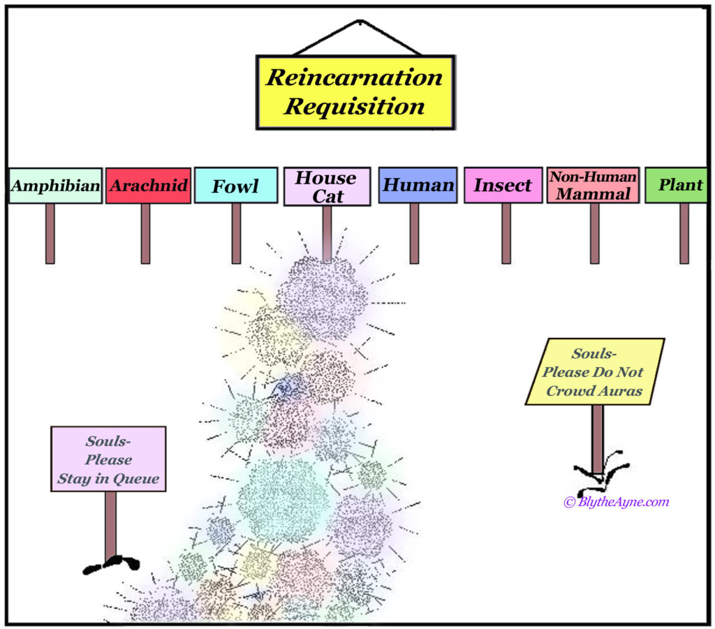 Reincarnation Requisition Cartoon - Blythe Ayne